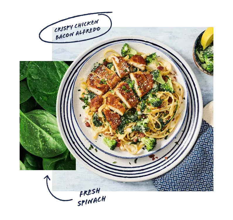 A New Menu Worth Obsessing Over | Noodles & Company